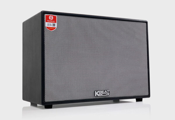 Loa Karaoke Xách Tay Acnos CS2501PU 300W - Micro Chống Hú