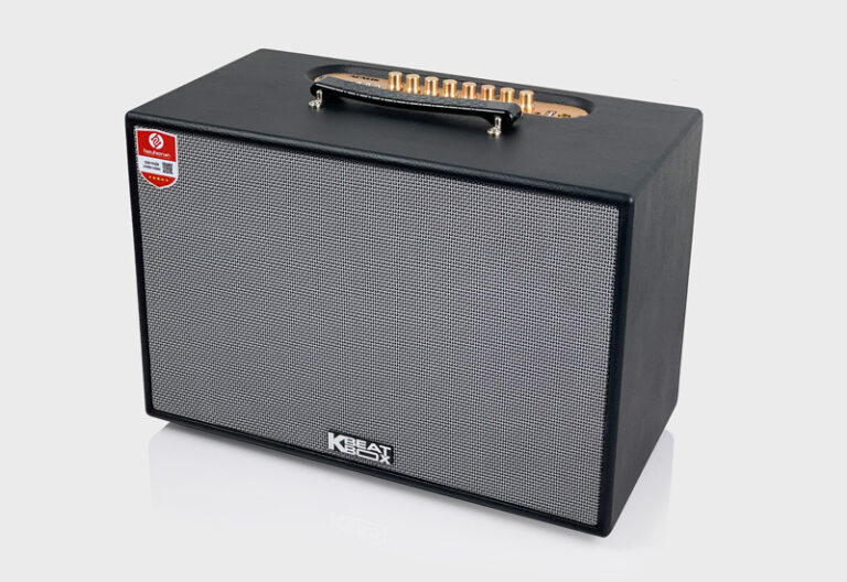 Loa Karaoke Xách Tay Acnos CS2501PU 300W - Micro Chống Hú