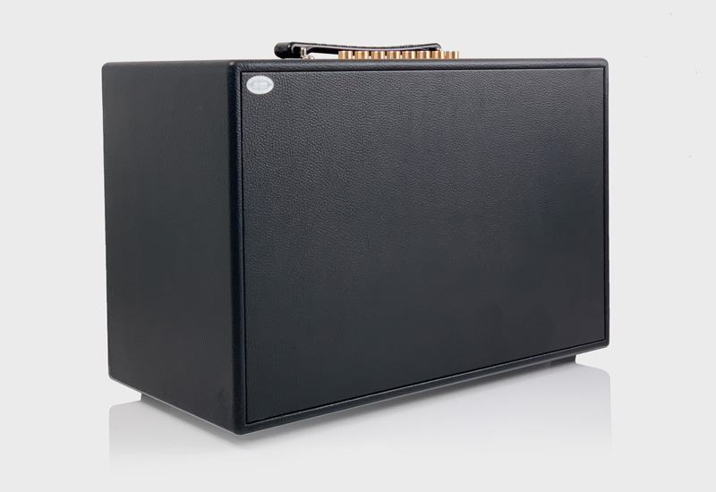 Loa Karaoke Xách Tay Acnos CS2501PU 300W - Micro Chống Hú