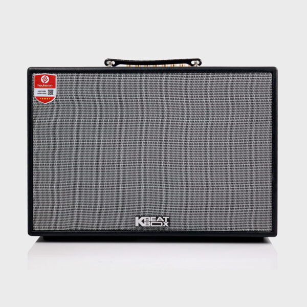 Loa Karaoke Xách Tay Acnos CS2501PU - Hieuhien.vn