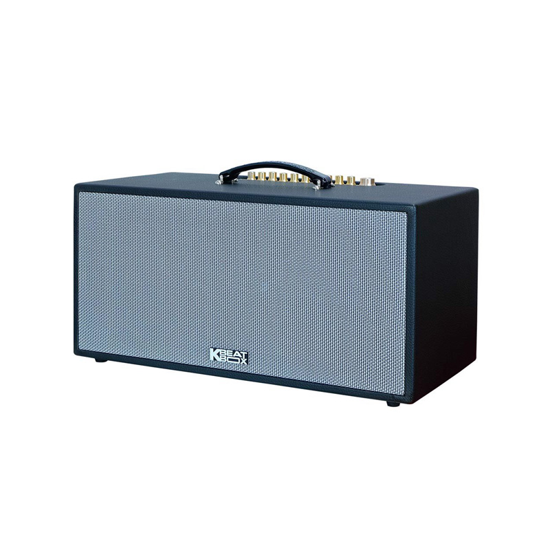 Mua loa karaoke xách tay bluetooth, loa karaoke mini di động giá rẻ