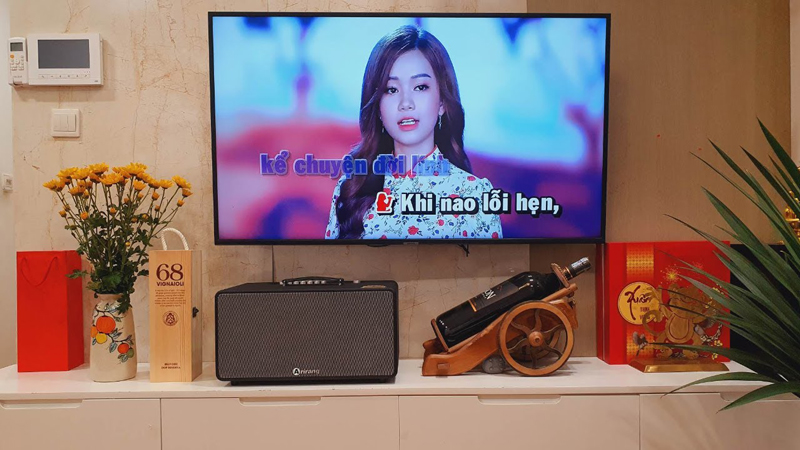 Đánh giá chi tiết loa karaoke xách tay Arirang MB2 Pro
