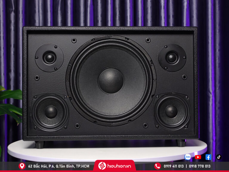 Loa Acnos CS3600 | Bass 25cm (200W RMS) Kèm 2 Micro