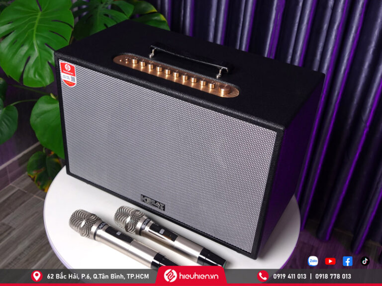 Loa Acnos CS3600 | Bass 25cm (200W RMS) Kèm 2 Micro